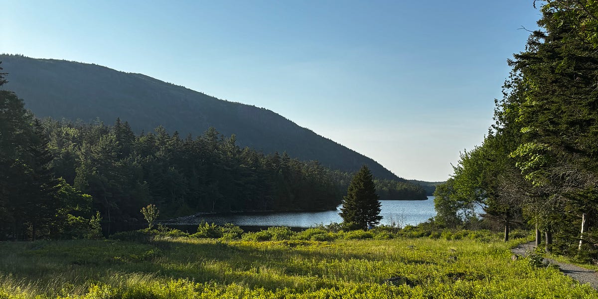 week 46 - by Shea Stanley - Shea’s Substack