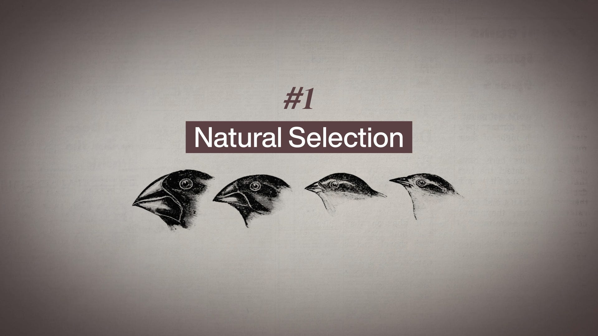 5 Mental Models You Can Steal From Nature