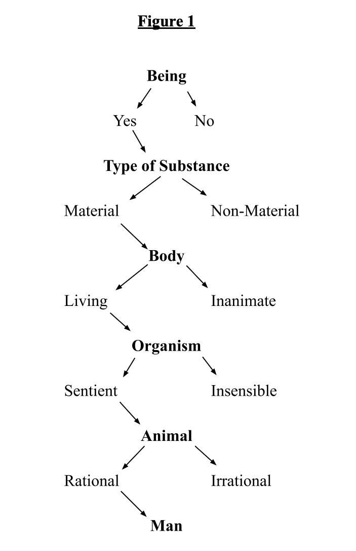 Porphyrian Trees - by Jacob Allee - Study the Great Books