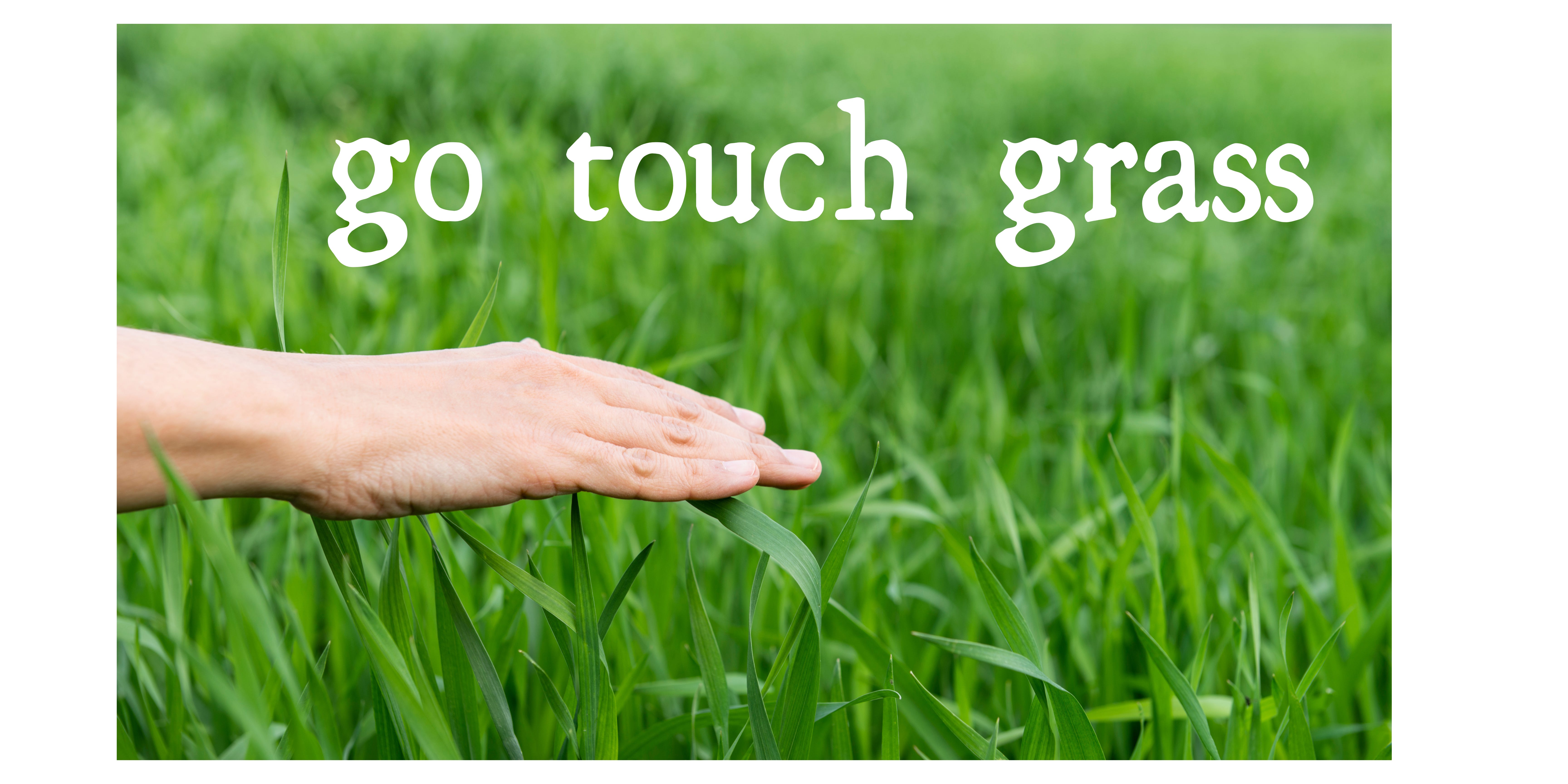 Where Do You Touch Grass? - by Rachel Sager