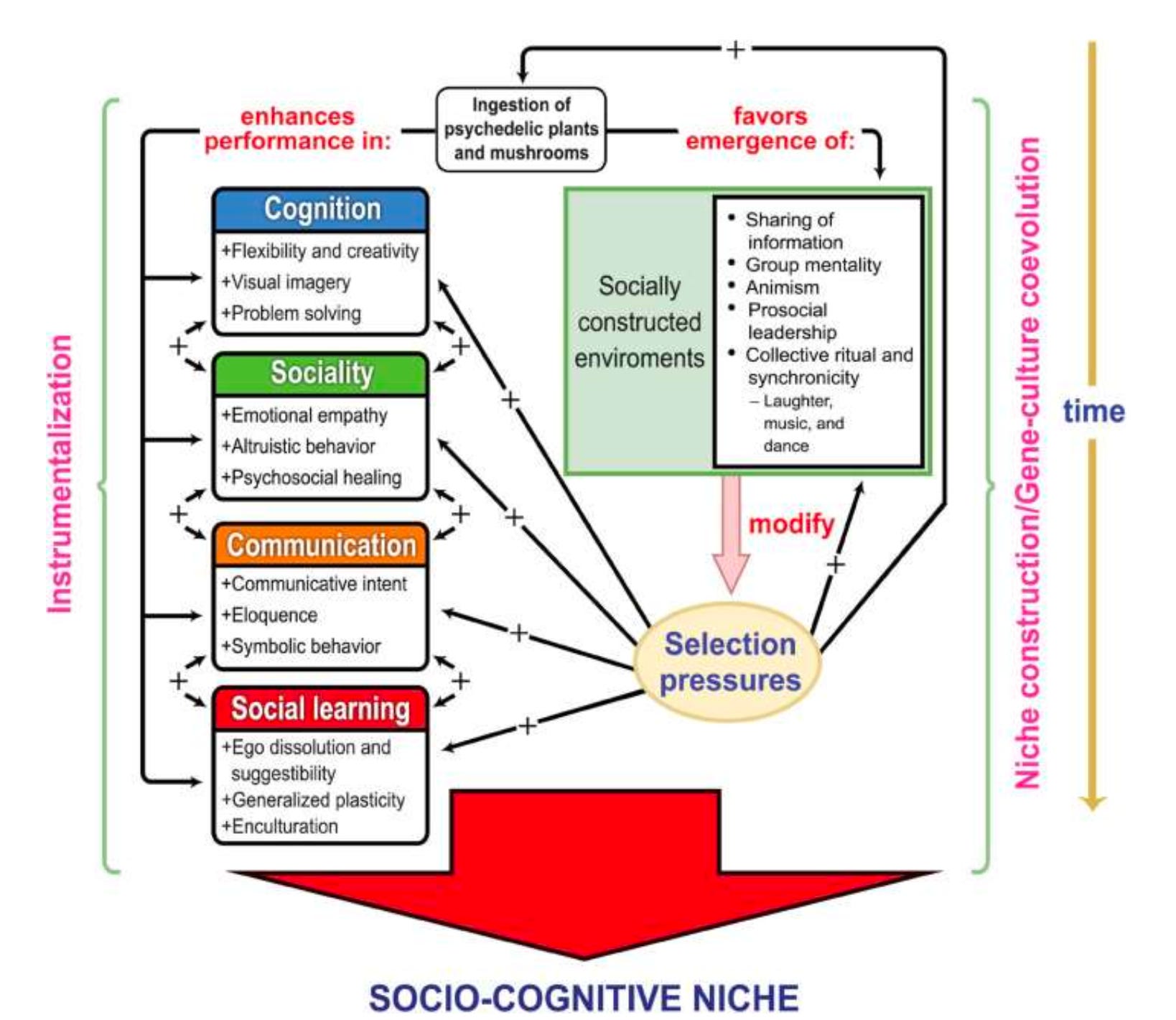 Reawakening the Stoned Ape - David Luke