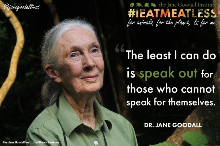The Legacy of Jane Goodall - by Revolution Philadelphia