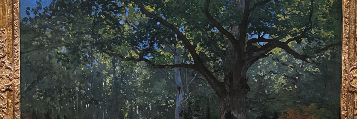 Amelia Goldsby | Substack