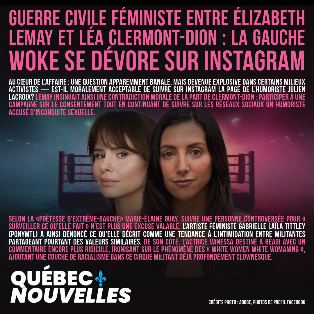 Guerre civile féministe entre Élizabeth Lemay et Léa Clermont-Dion : la ...