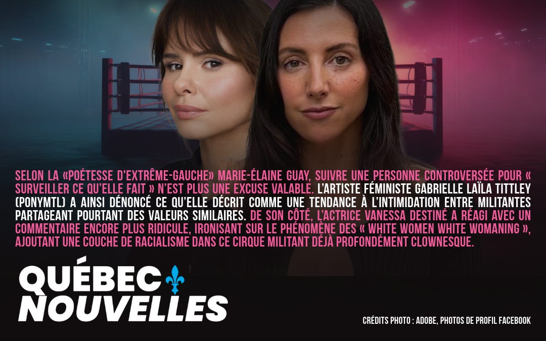 Guerre civile féministe entre Élizabeth Lemay et Léa Clermont-Dion : la ...