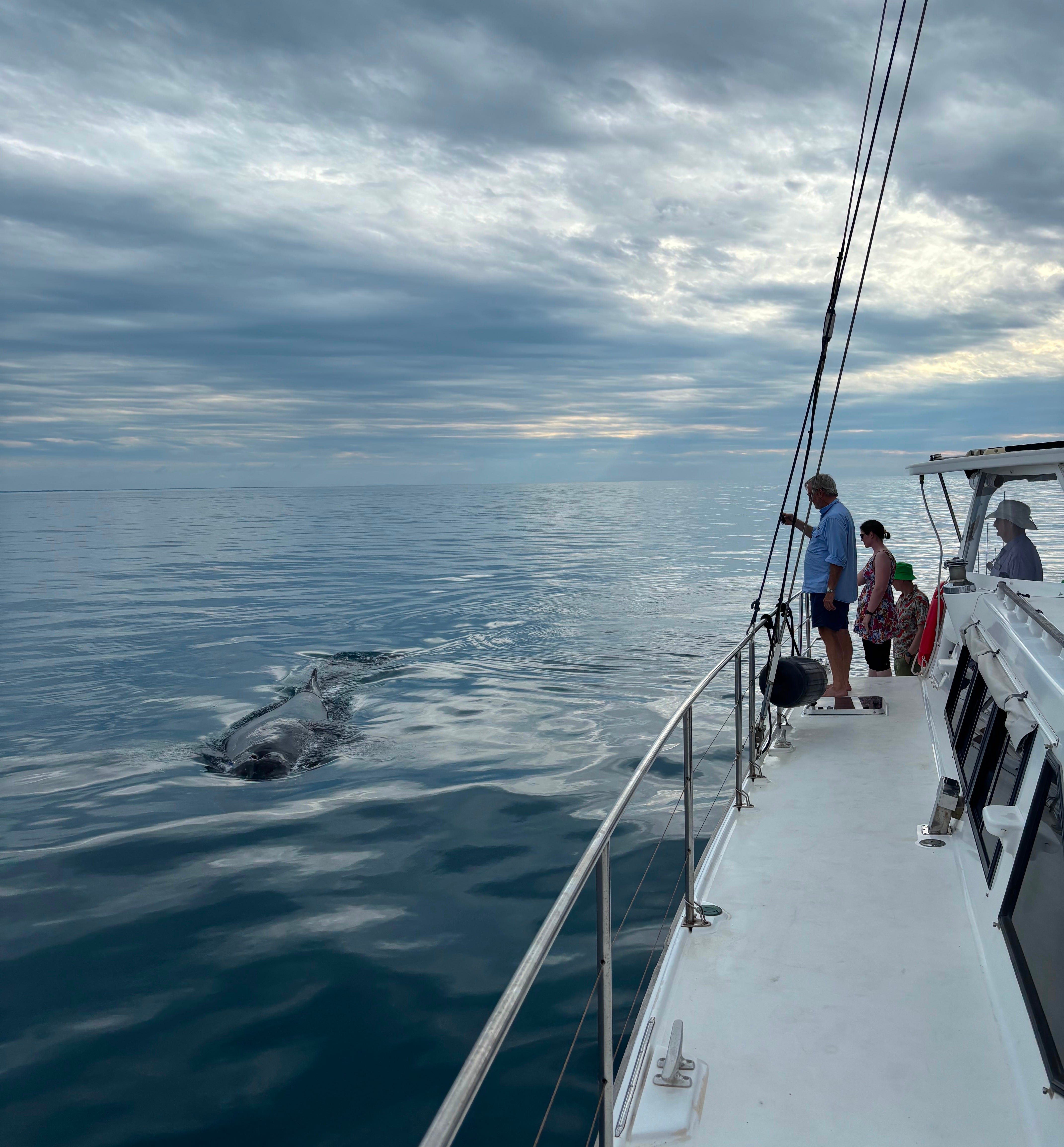 Heart Update 04 - by Patrick Durack - The One About....