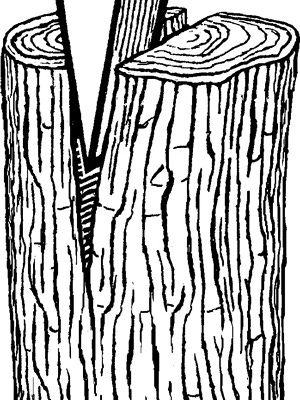 The Biggar Picture | Nigel Biggar | Substack