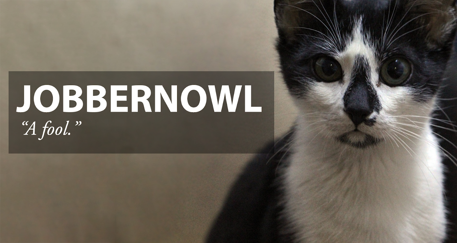 8 Lovely Swear Words and Insults We Should Never Have Stopped Using