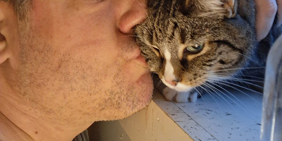 Comments - Mina is home! - by Josh Slocum