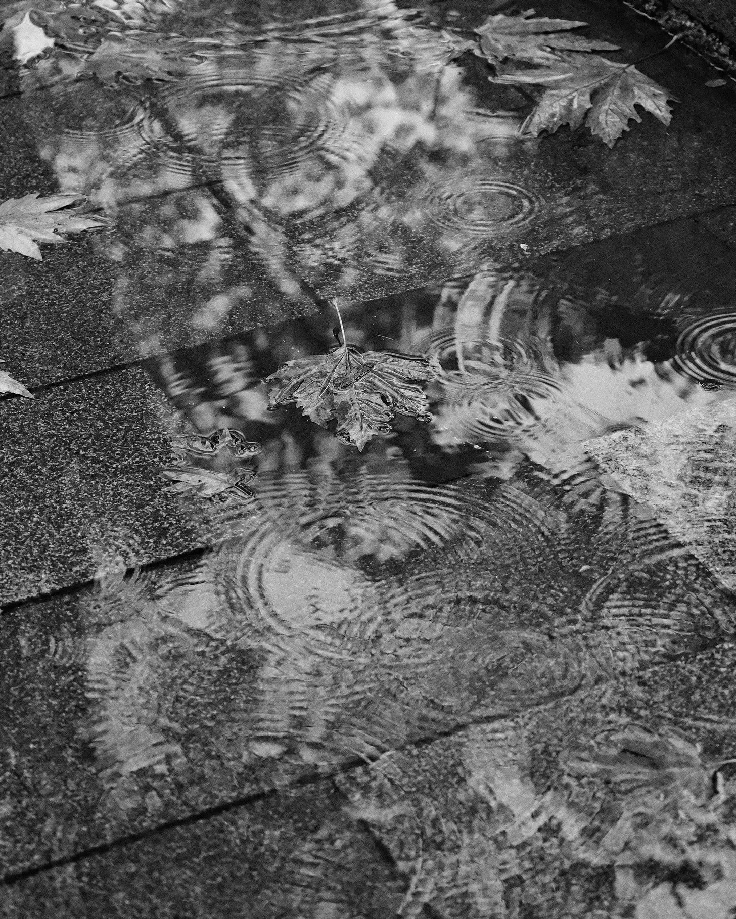 Reflections on Self-Publishing [2025]: Year Six, Geneva Health Files