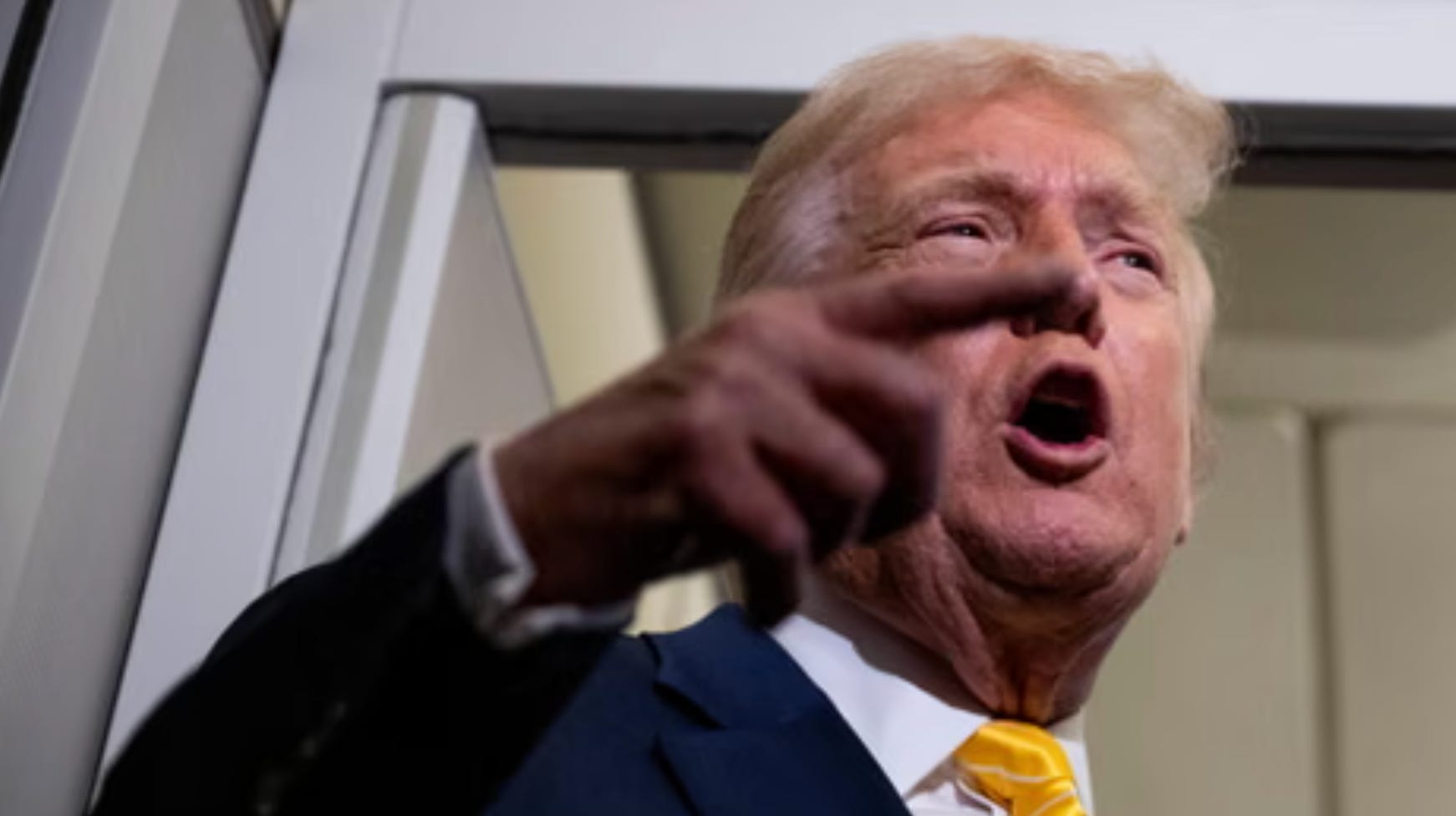 The Pig President and His Swine Supporters