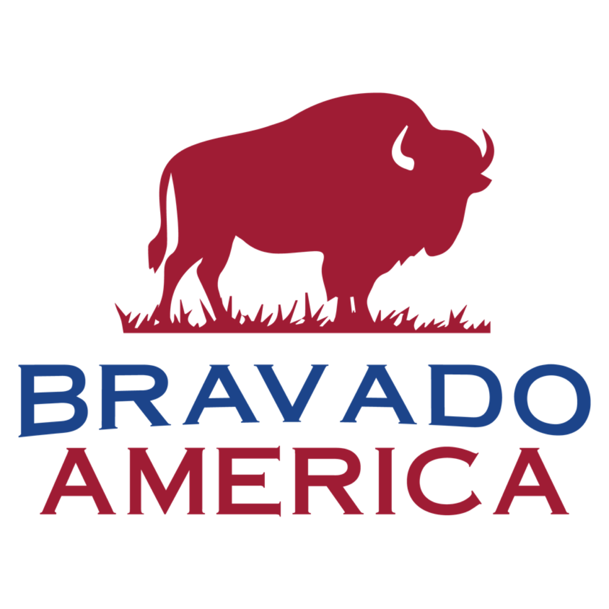 Bravado America | Substack