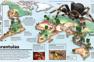 Chiankhanh | RetoK | Substack