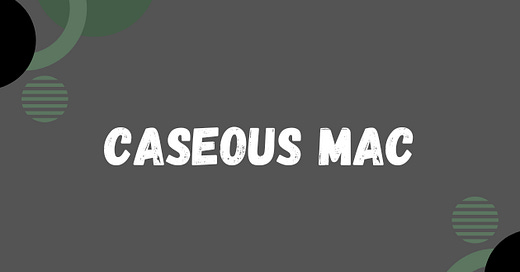 The Echo Journal | Aram K. | Substack