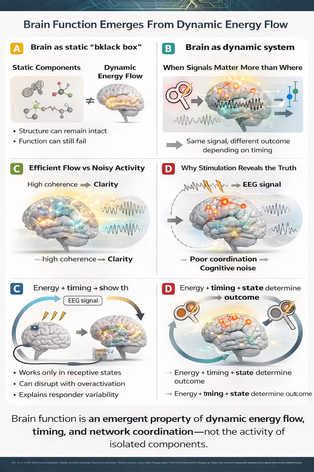 The Brain as a Dynamic Energy System : Why Timing is the Mechanism of ...