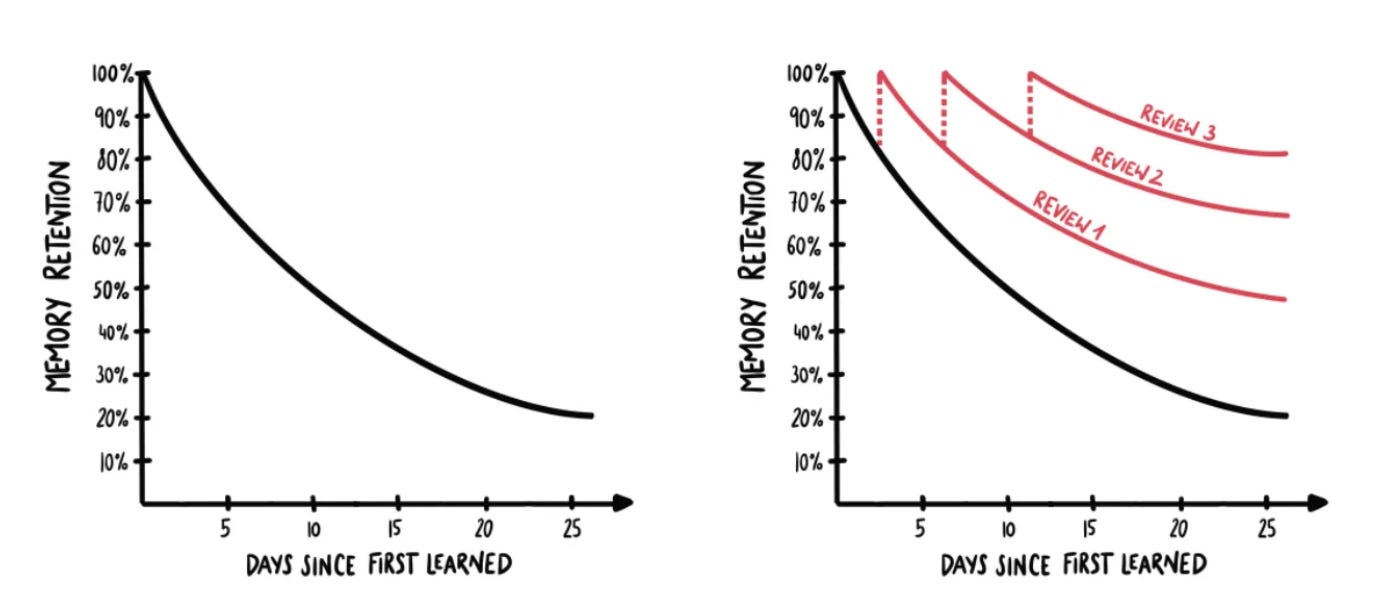 5 Underestimated Principles for a Mind That Compounds Knowledge Instead ...