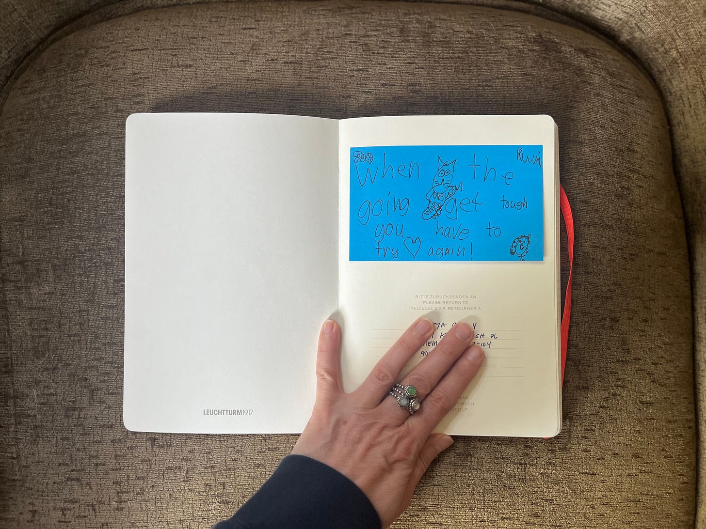 Issue 116: My notebook ecosystem (as a book nerd)