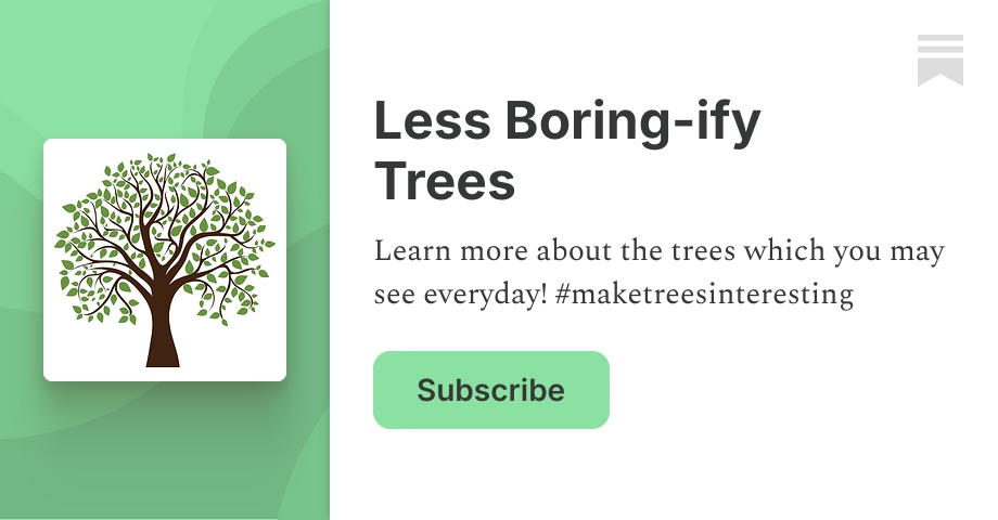Less Boring-ify Trees | Substack
