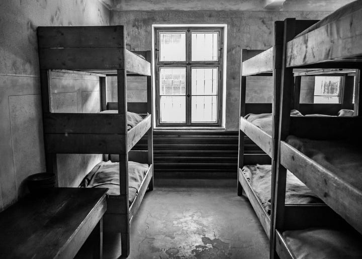 The Past is Prologue: Understanding the Present Through History