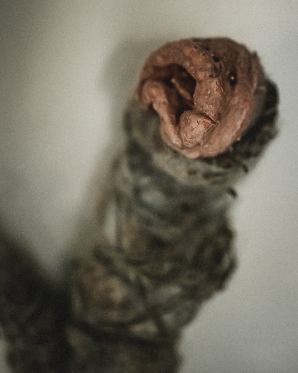 A Creature Under the Skirt: Iceland’s Tilberi and the Most Unsettling ...