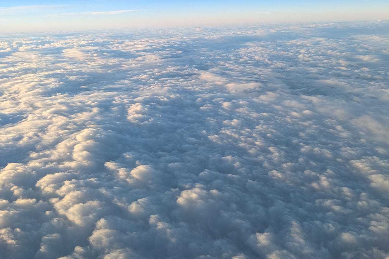 Career Pivot | Joe O'Connor | Substack