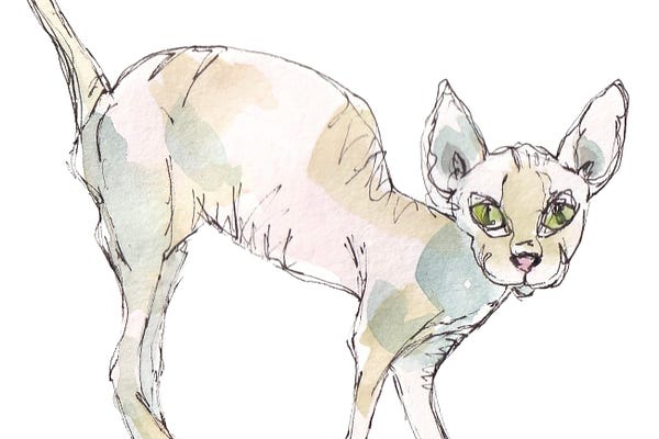 Fishbird Art and Nonsense | Jen Payne - Fishbird Central | Substack