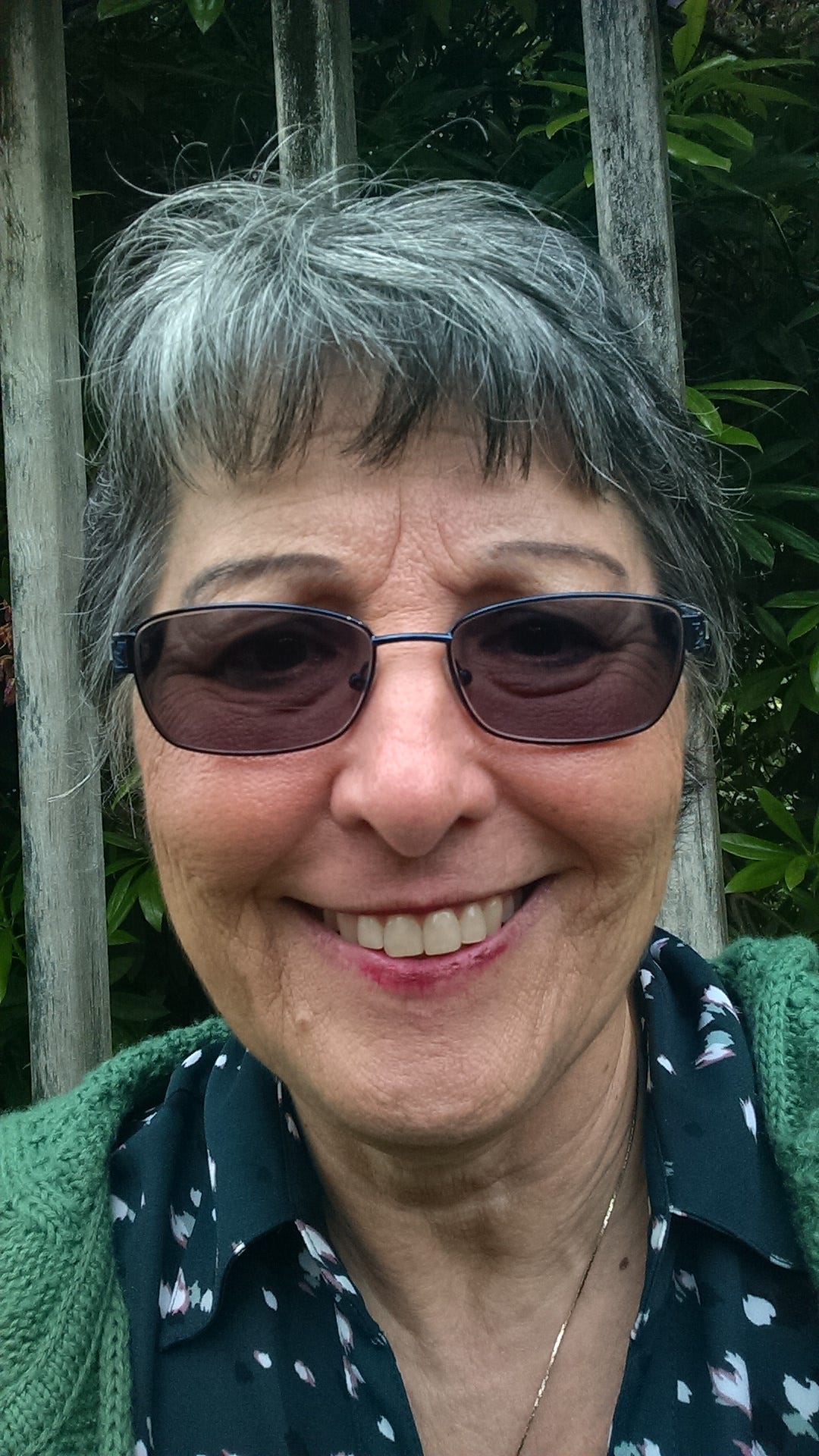 Sue Fagalde Lick | Substack