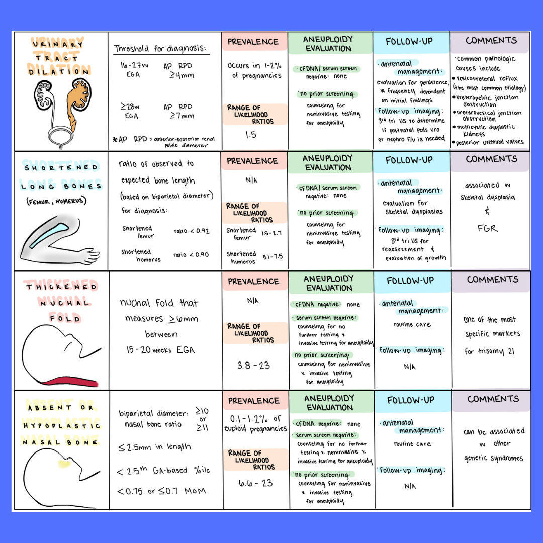 Fetal Ultrasound Soft Markers - Babies After 35