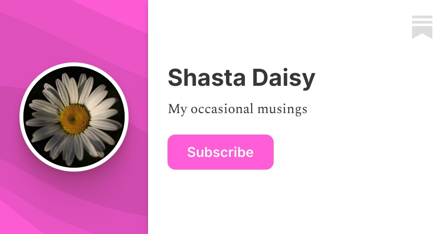 Shasta Daisy | Substack