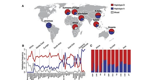 Mind & Matter | Nick Jikomes | Substack