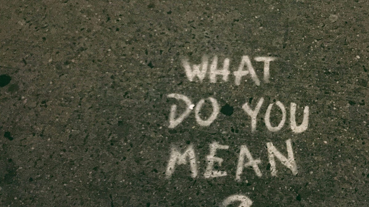 The Word that has No Meaning - by Lisa A Harrison