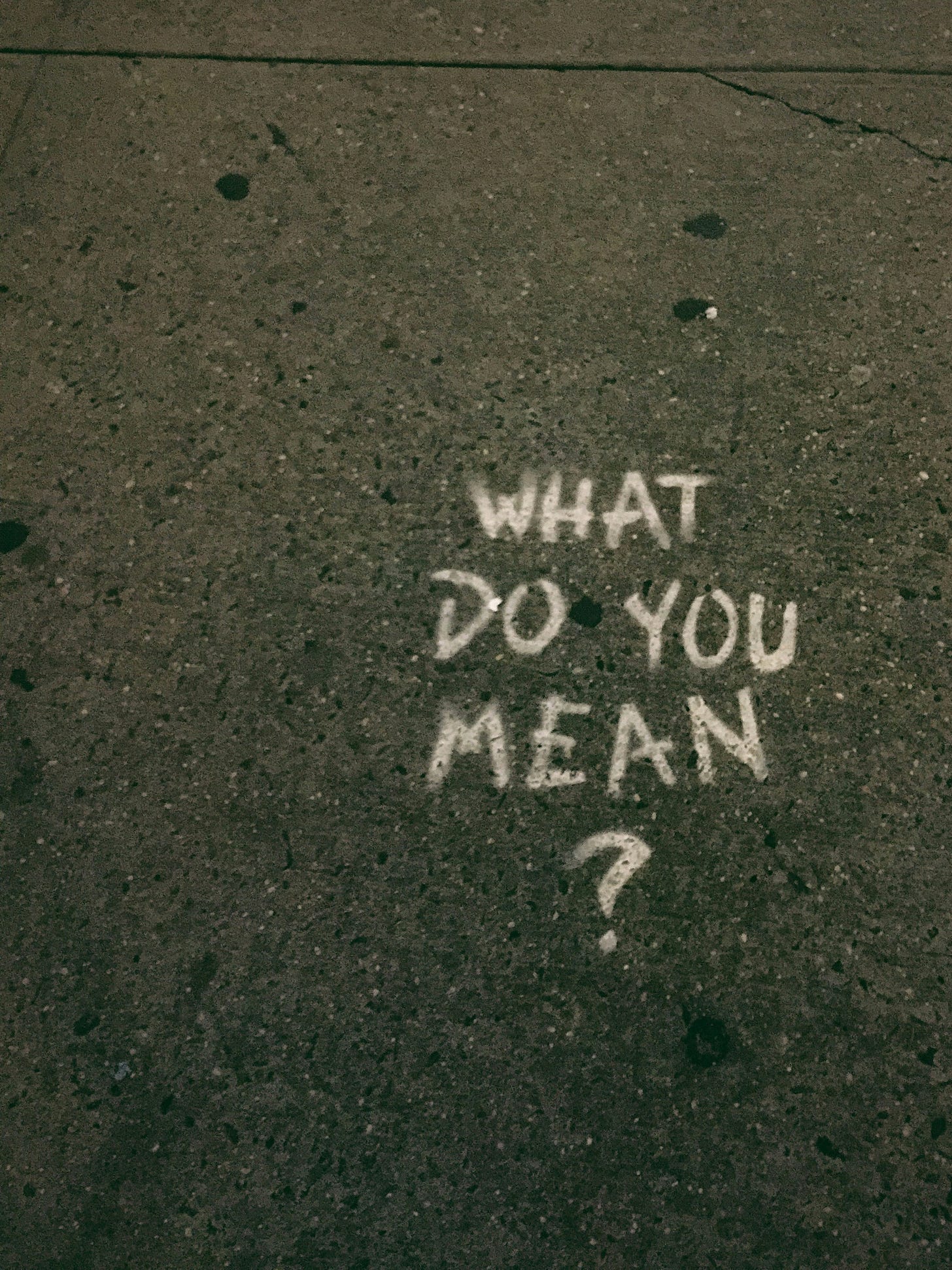 The Word that has No Meaning - by Lisa A Harrison