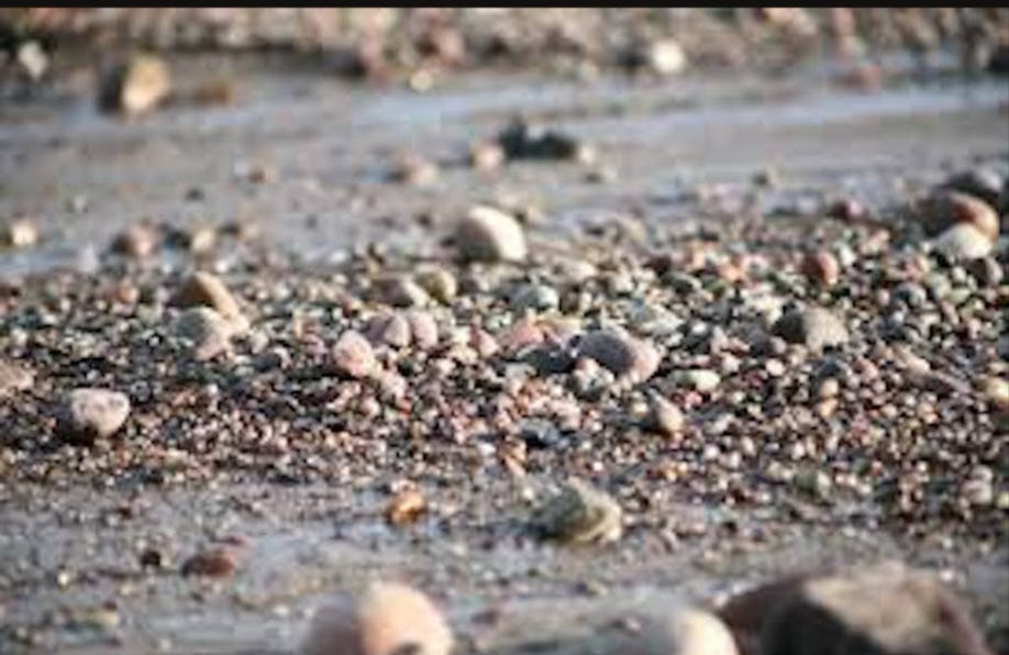 Ought to Hear: The Parable of the Sower and the Call to Discipleship