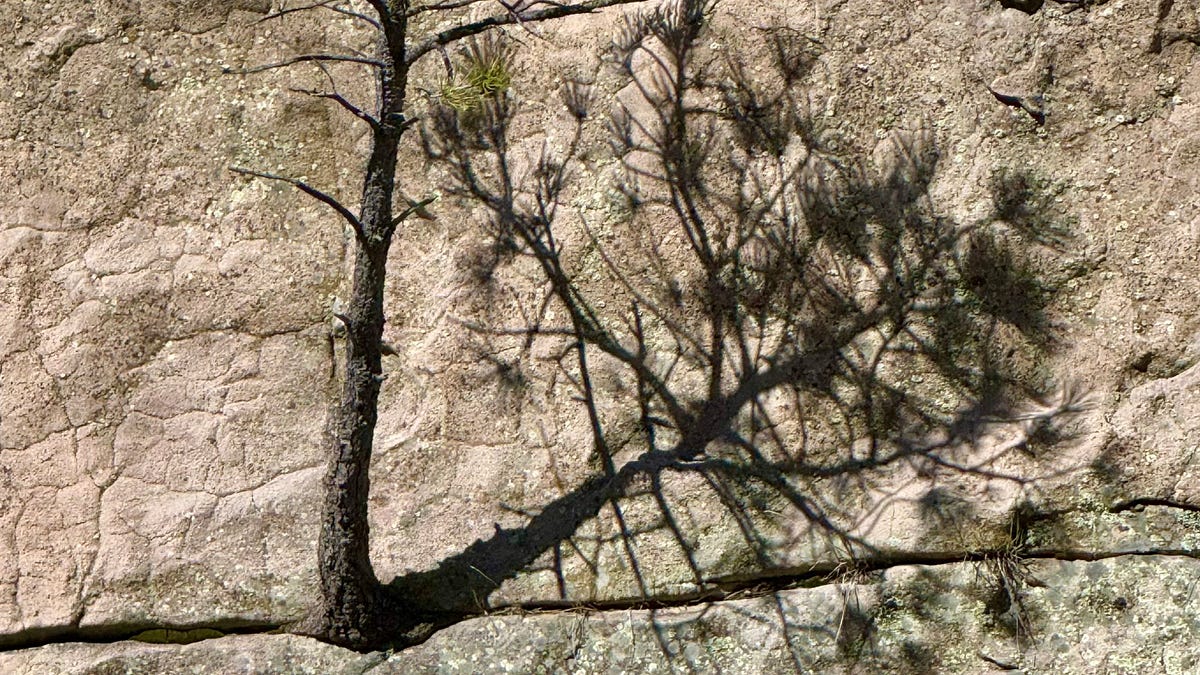 The "Continuous Thread" of Recovery - by Vince Puzick