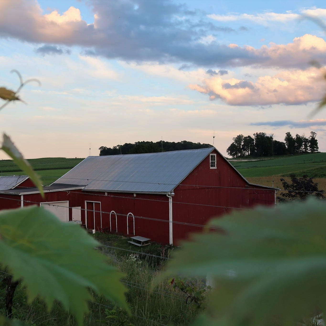 Unique Pa. winery blending in nicely to what's already a thriving brewery