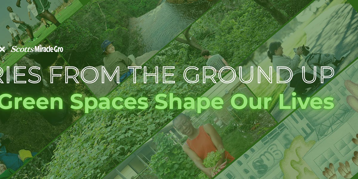 CALL FOR SUBMISSIONS: Stories from the Ground Up—How Green Spaces Shape ...
