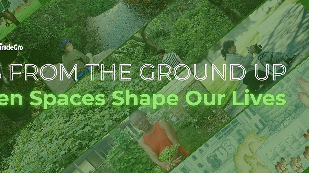 CALL FOR SUBMISSIONS: Stories from the Ground Up—How Green Spaces Shape ...