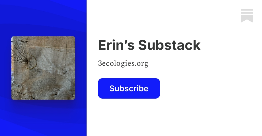 Erin’s Substack | Erin Manning | Substack