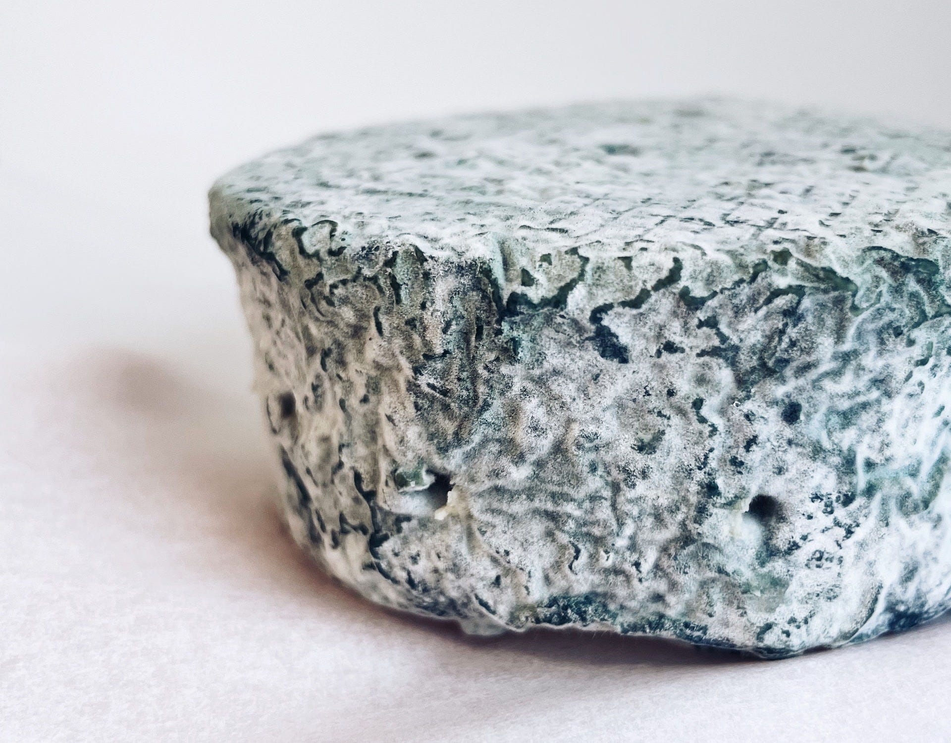 how to: make fermented vegan cheese - by Ellie Phoebe Brown