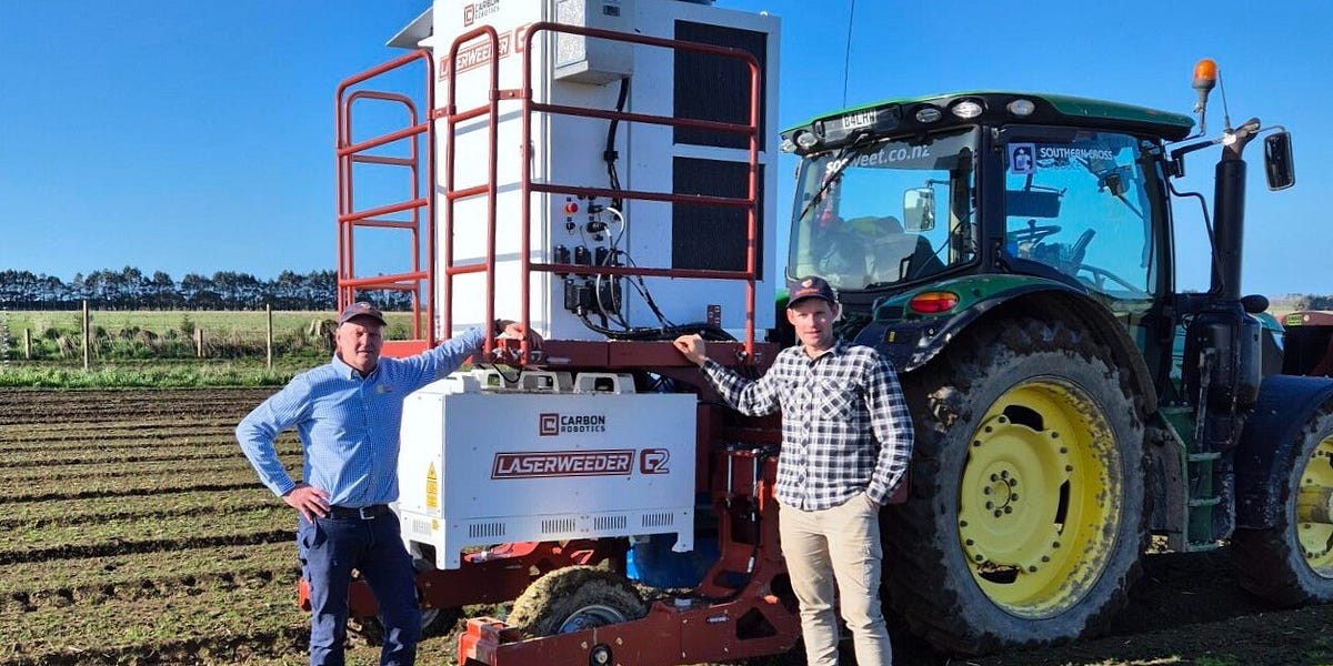 Growing with Care: How a Southland Farm is Blazing a Trail in Kai ...