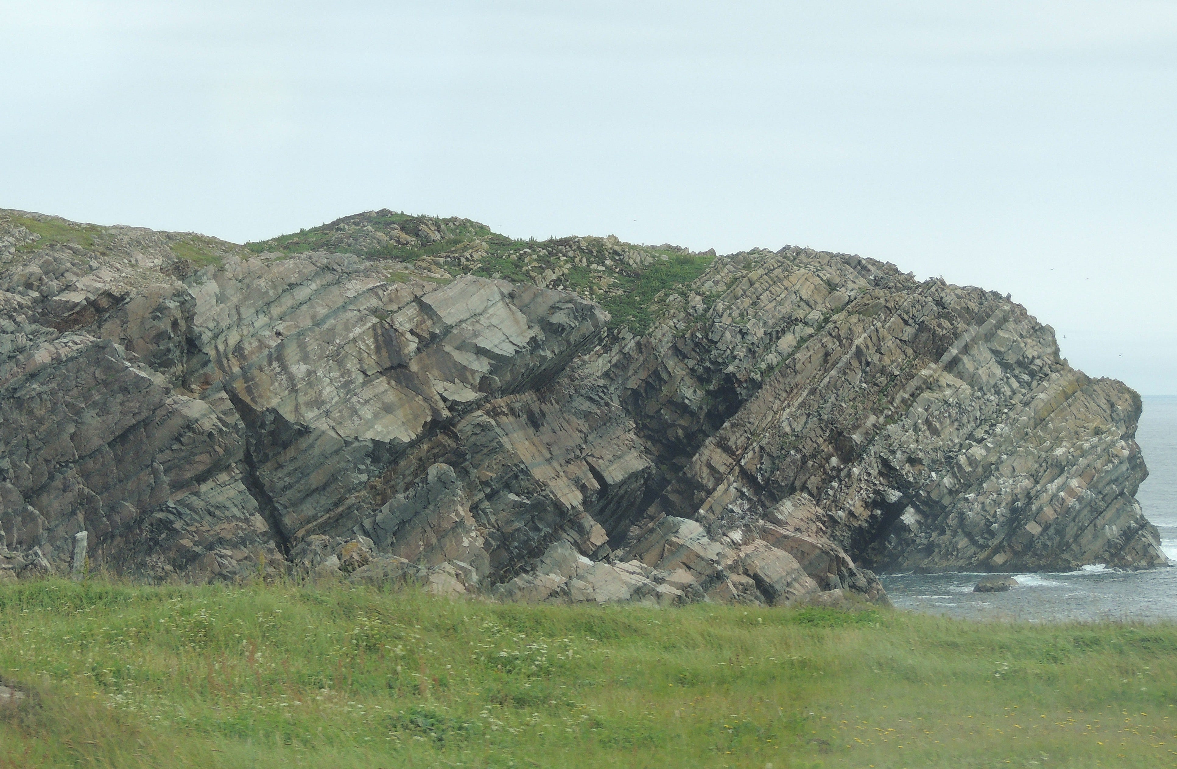 The Beauty of Newfoundland Through my Camera Lens