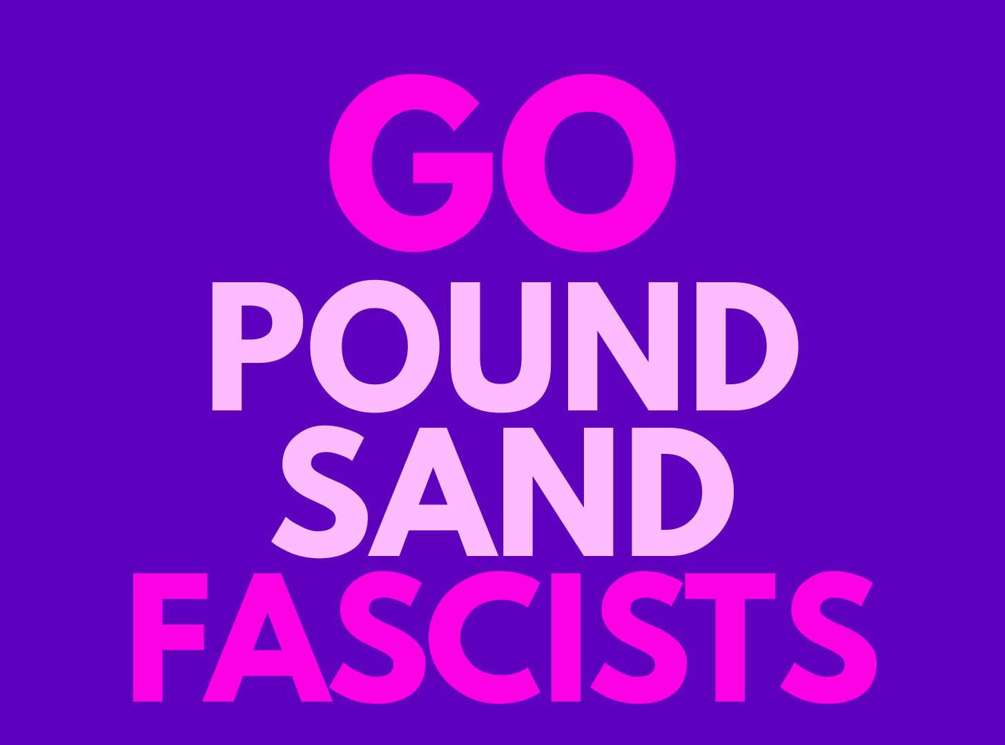 GO POUND SAND FASCISTS - Donuts + Democracy