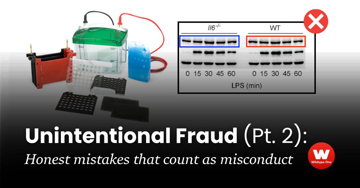 11 honest lab mistakes that count as fraud - by Carl