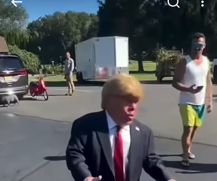 MINI TRUMP... ENDING IS VERY TELLING....!!!