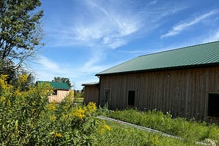 House of Green | Alexandra Fasulo | Substack