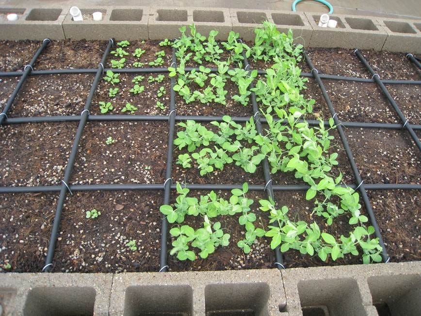The Square Foot Gardening Revolution: Grow More in Less Space with Less ...