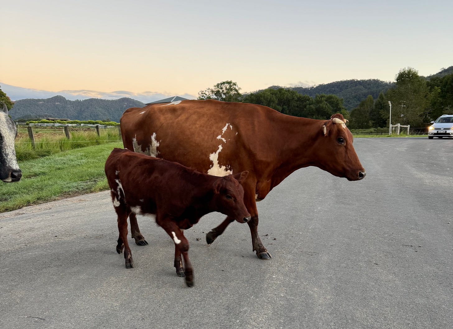 What Does "Pious" Really Mean? - by Rachel Mason