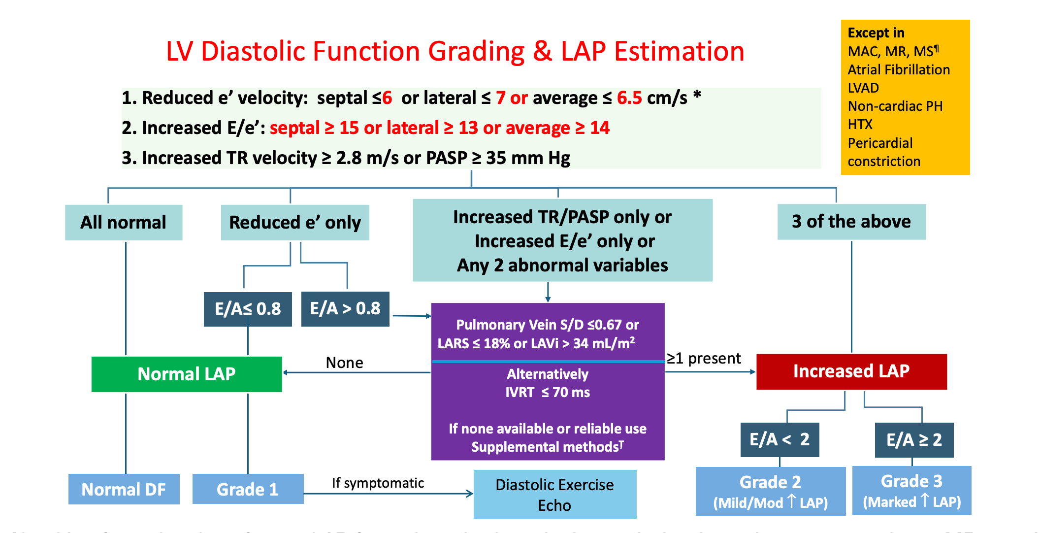 New Diastology Guidelines: Key Changes - by Aram K.