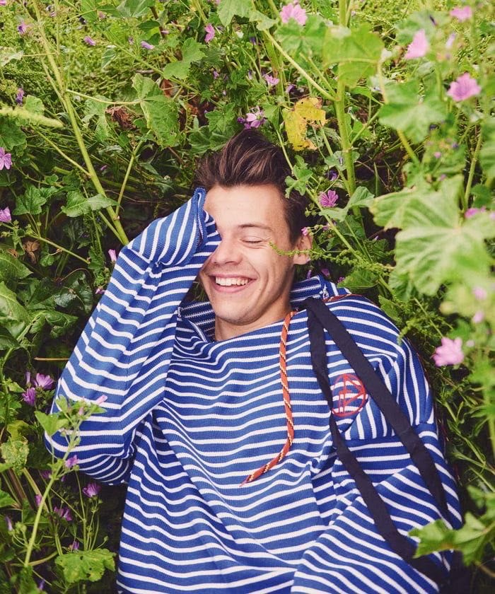 Harry Styles Turns 30 - Learn All His Fandom Nicknames