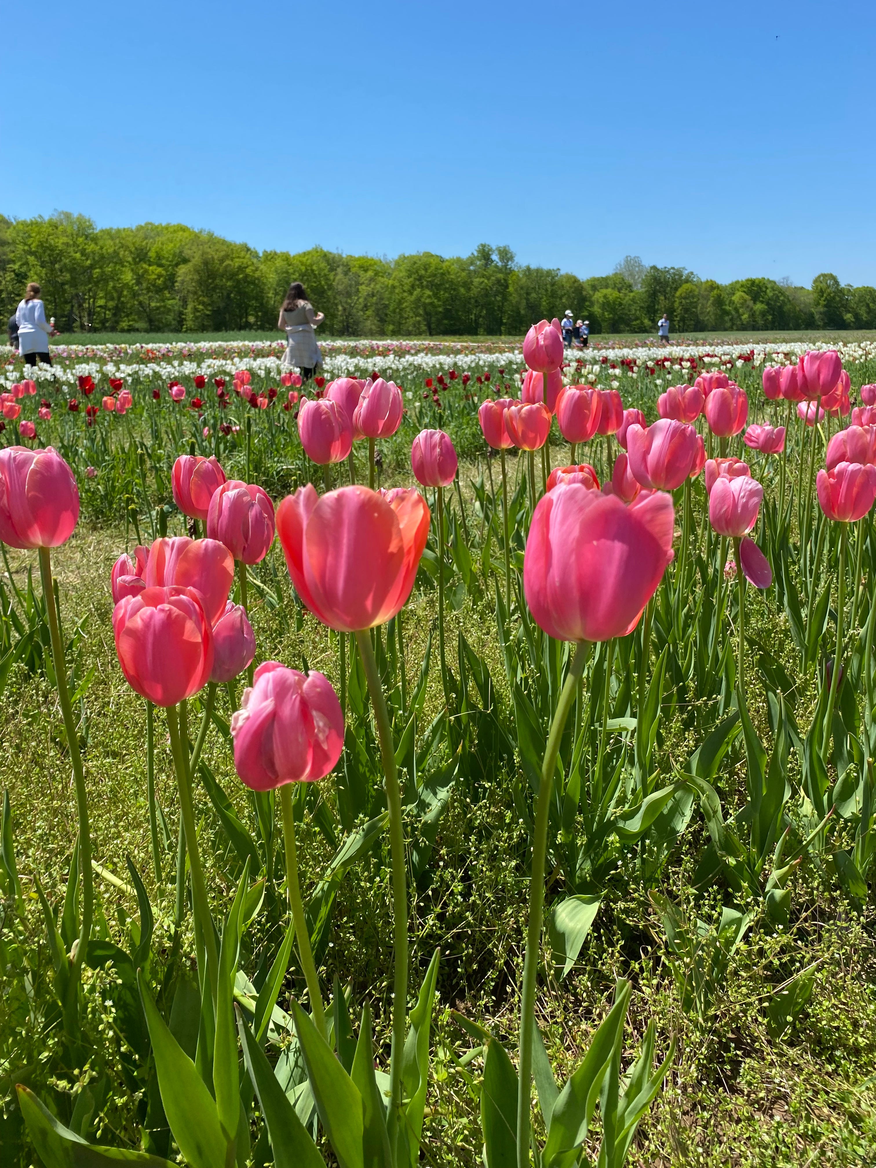 Writing Prompts ~ XII - by Justin Deming - Along the Hudson